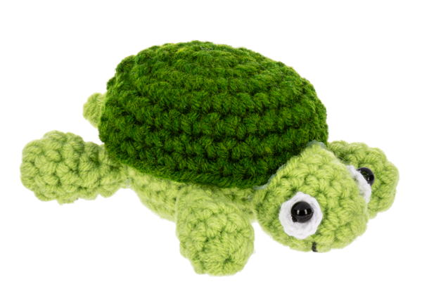 Crochet Turtle Token – Carly & Cass